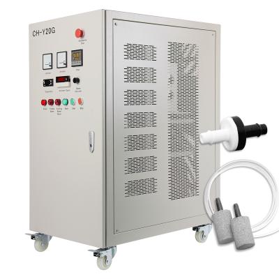 China In stock gas ozone generators portable 100g ozonizer for vegetables and fruits for sale