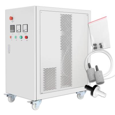 Cina Aquarium water ozone generator ozone machine ozonator in vendita