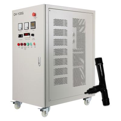 Cina New product diffuser and air water plant ozone genrator 40g 50g 60g warer purifier equipment for drinking swimming w in vendita
