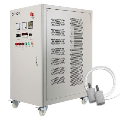 China New product diffuser and air water plant ozone genrator 40g 50g 60g warer purifier equipment for drinking swimming w for sale