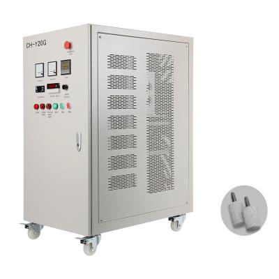 Cina Ozone generator for waste water treatment systems in vendita
