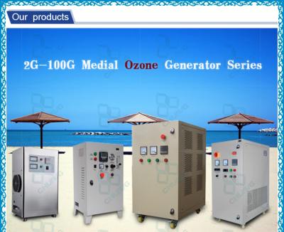 Cina Swimming Pool Odor / Germ Removal Bacteria Killer High purity Ozone Generator in vendita