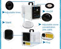 China Home Use Household Ozone Generator Detoxification Ozone Machine for sale
