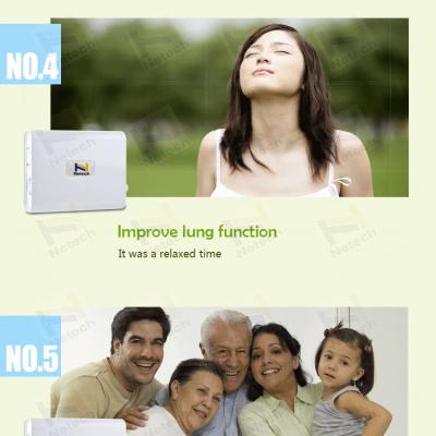 Cina 100mg car air purifier ozone generator 220v 110v in vendita