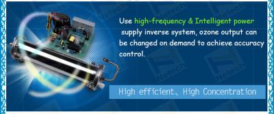 中国 18g to 80g water cooling ozone enamel tube ozone generator parts 販売のため