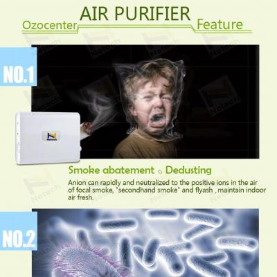 中国 100mg Per Hour Ozone Output Ozonizer For Vegetables And Fruits 販売のため