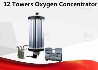 中国 3 - 15オゾン発電機のためのLPM 12タワーの酸素のコンセントレイター修理は集まっています 販売のため