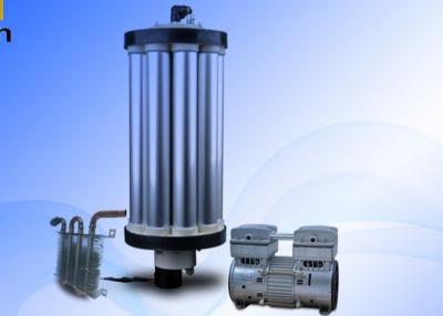 China Concentrador de alimentação do oxigênio do ozônio 10LPM PSA com saída estável do oxigênio do compressor/refrigerador de ar à venda