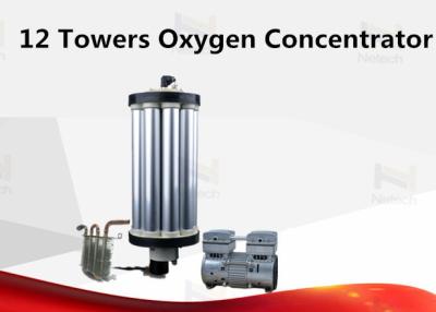 Cina 3L - il concentratore dell'ossigeno del setaccio molecolare dell'ossigeno 15L si separa i compressori d'aria in vendita