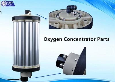 Cina setaccio molecolare dell'ossigeno di riparazione del concentratore dell'ossigeno di 3L -15L PSA per aumento dell'ossigeno in vendita