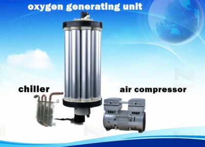 Cina 100% un tipo di dodici delle torri di PSA attrezzature del gas riparazione 3 del concentratore dell'ossigeno - 15L in vendita