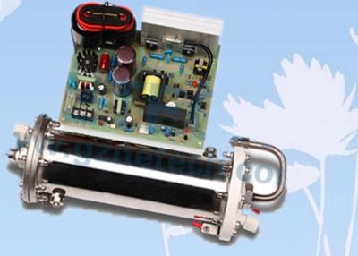 Cina il generatore freddo dell'ozono di effetto corona 80g/H si separa il potere di Adjustalbe in vendita