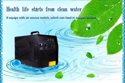 Cina Long life air and water purifier 7g ozone machine for mini home fresh air purifier in vendita