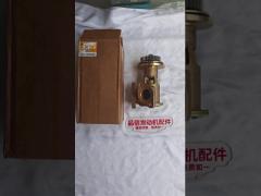 395-1646 Raw Water Auxiliary Pump For CAT C7.1 Engine