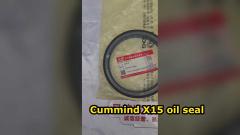 Construction machinery For 3685173 oil seal Cummind X15 Excavator Engine Parts