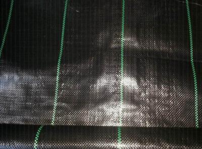 Cina Anti prodotto intessuto la BV a terra resistente UV del diserbo del tessuto della copertura in vendita