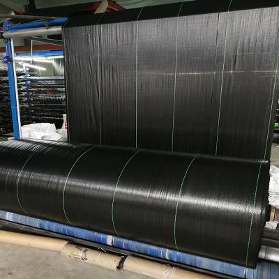 Cina Tessuto agricolo della copertura di messa a terra del polipropilene del tessuto nero del polipropilene in vendita