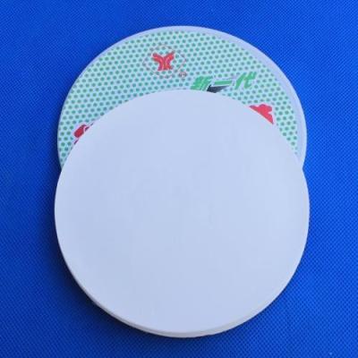 Cina La griglia microporosa del filtro da membrana di PTFE sorge il diametro di 60mm per il Sample Analysis in vendita