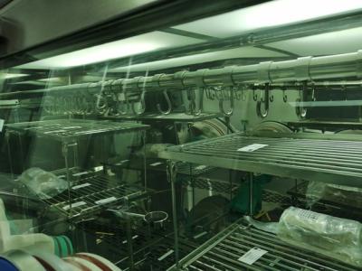 中国 薬剤の適用のための層流Ss304の生殖不能症テスト アイソレーター 販売のため