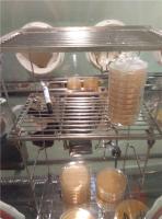 China Laminar Flow Ss304 Pharmaceutical Sterility Test Isolator for sale