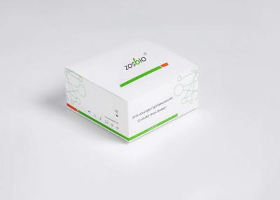 Cina Prova rapida Kit Ncov Ag Qualitative Detection siero AG del plasma del CE in vendita