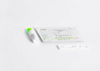 Cina Prova rapida Kit Ncov Ag Qualitative Detection siero AG del plasma del CE in vendita