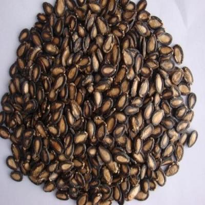 China Sun Dried Watermelon Seeds, Black Watermelon Seeds,Watermelon Fruit Seeds factory