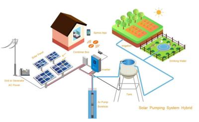 Cina Sistema solare senza spazzola di pompaggio dell'acqua di corrente continua per posizione rurale in vendita
