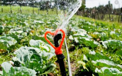 Cina Sistema solare alimentato solare dell'irrigazione a goccia di controllo del App del sistema Spmcs di pompaggio dell'acqua di ROSH in vendita