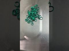 WF o rings