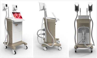 China Hottest Sale!!! weight loss slimming fat freeze beauty machine for sale