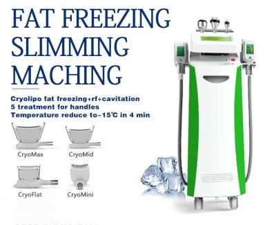 China CE approved 0.1 Celsius adjustable 3 cryo handles fat reduction cryolipolysis freeze slimming machine for sale