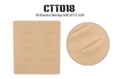 Китай постоянная кожа практики губ татуировки состава 3D Washable для Beginner продается