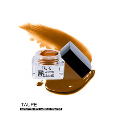 China El maquillaje permanente/el color de color topo estable del pigmento de Microblading para previene rojez en venta