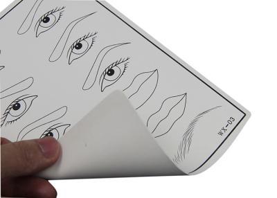 Cina La pelle permanente di pratica di trucco osserva/l'addestramento tatuaggio delle sopracciglia 3D per i principianti in vendita