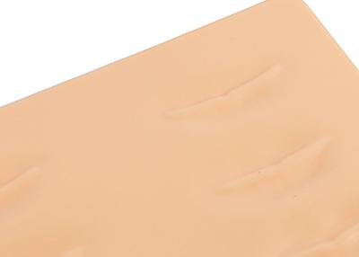 Cina Pelle permanente cosmetica di pratica del labbro di trucco di Microblading per il principiante in vendita