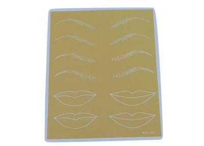 Cina Sopracciglia di trucco del tatuaggio della gomma naturale della pelle materiale di pratica/pelle permanenti cosmetiche pratica del labbro per il principiante in vendita