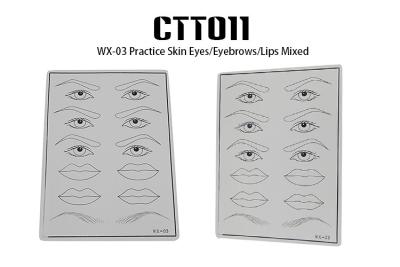 Китай Кожа практики состава силикона PCD постоянная/кожа татуировки фальшивки тренировки продается