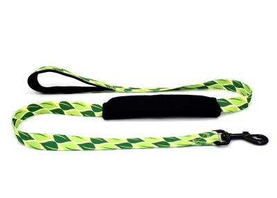 China De Leiband Duurzame Grootte 2,5 X 120cm van de groene/Rode Kleuren Op zwaar werk berekende Intrekbare Hond Te koop