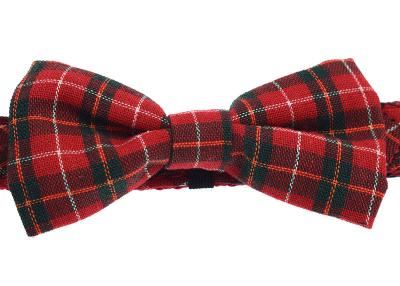 Cina I collari di camminata del cane del nodo della farfalla, plaid sveglio dei collari di cane alla moda rendono impermeabile in vendita
