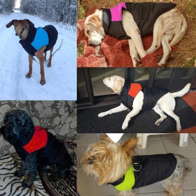 China Waterdichte Hondlagen, de Warme Kleren van de Puppywinter/Vest/Jasje Te koop