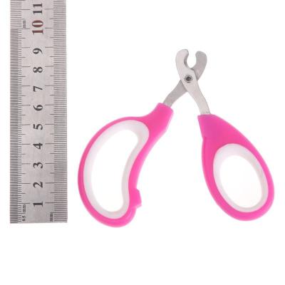Cina Forbici rosa del chiodo dell'animale domestico di colore, progettazione ergonomica della smerigliatrice del chiodo di pedicure dell'animale domestico in vendita