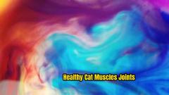 Cat Scratch Board Muscle Joint Health
