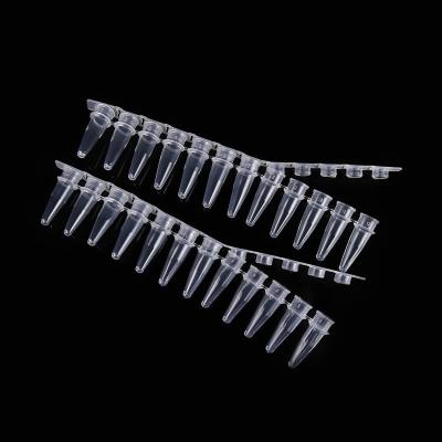 China Dome Shaped Caps 0.2ml PCR Tube 8 Strip With Attached Cap PCR Eight Connected Pipe for sale