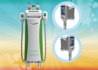China Multifunctional Beauty Equipment kryolipolyse cool tech cryolipolysis fat freezing Machine for sale