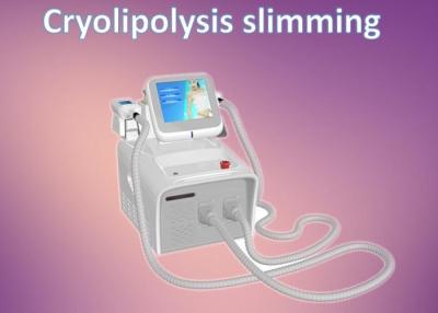 China Cryolipolysis Fat Freeze Slimming Machine for Weight Loss with two Handle for sale