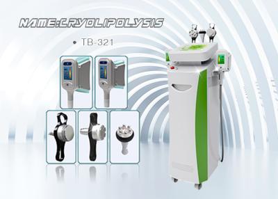China Cool Sculption Cryolipolysis Cool Shaping Machine , Fat Loss / Fat Freezing Machine 1800W for sale