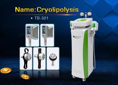 China Whole Body Cryolipolysis Slimming Machine , Cool Shaping Cellulite Reduction Machine for sale