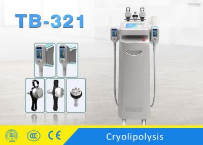 China 10.4 Inch Touch Screen Cryolipolysis Slimming Machine For Full Body Non Invasive for sale