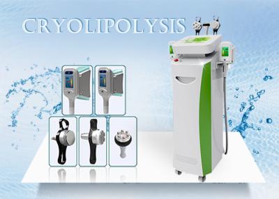 China 5 Heads Cryolipolysis Slimming Machine with 10.4 Inch Touch Color Screen for sale
